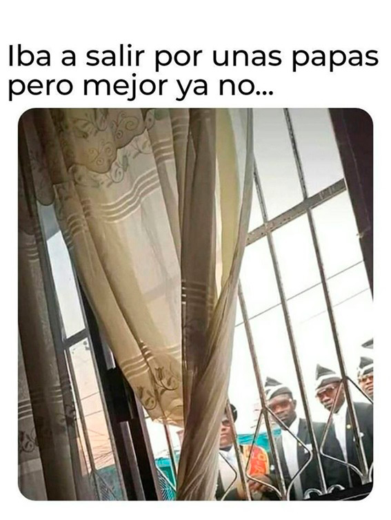Memes De Vida Diaria