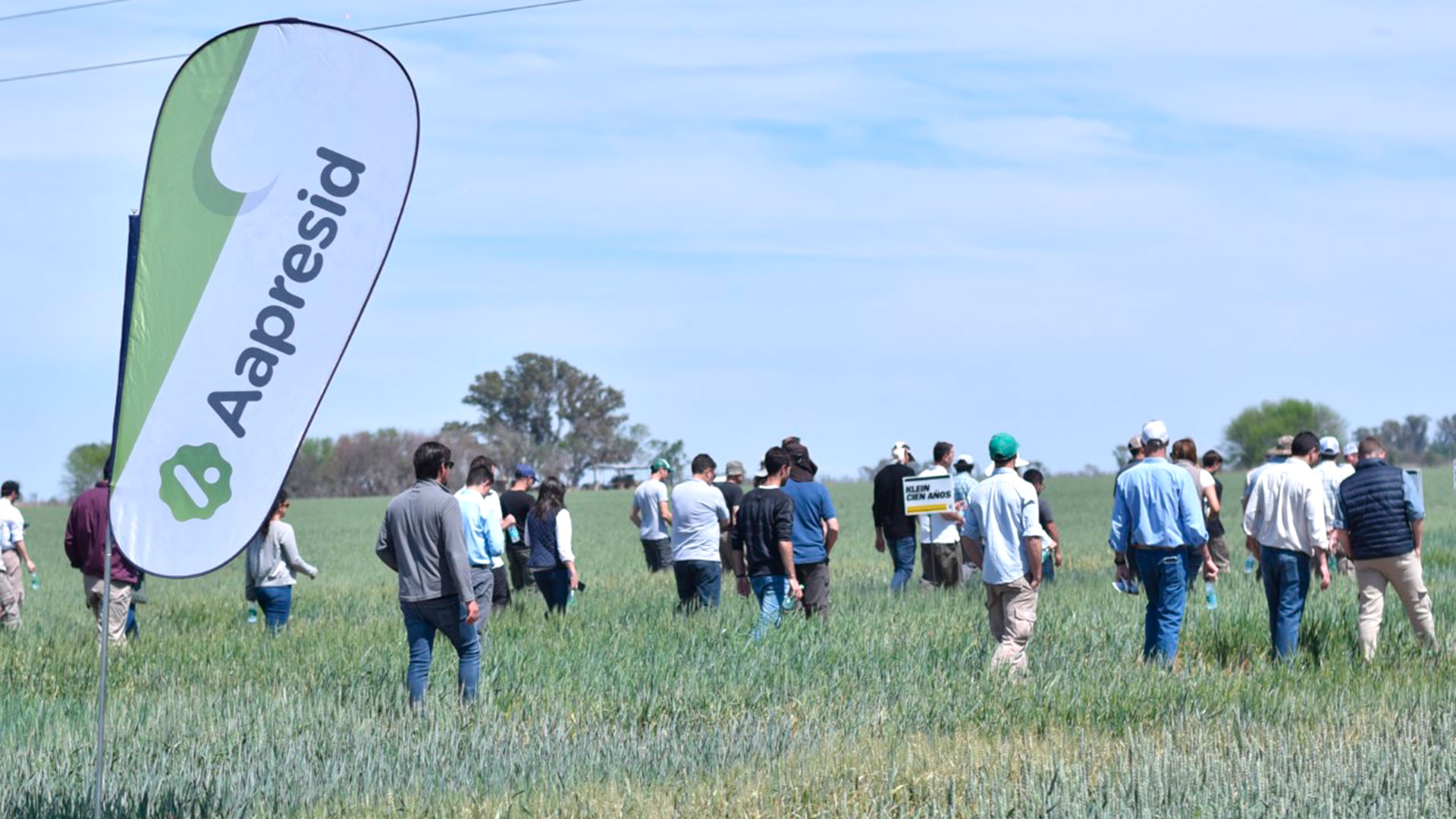 El Lado C Del Agro” Siembra Directa Captura De Carbono Y Desafíos De La Agricultura Para Los
