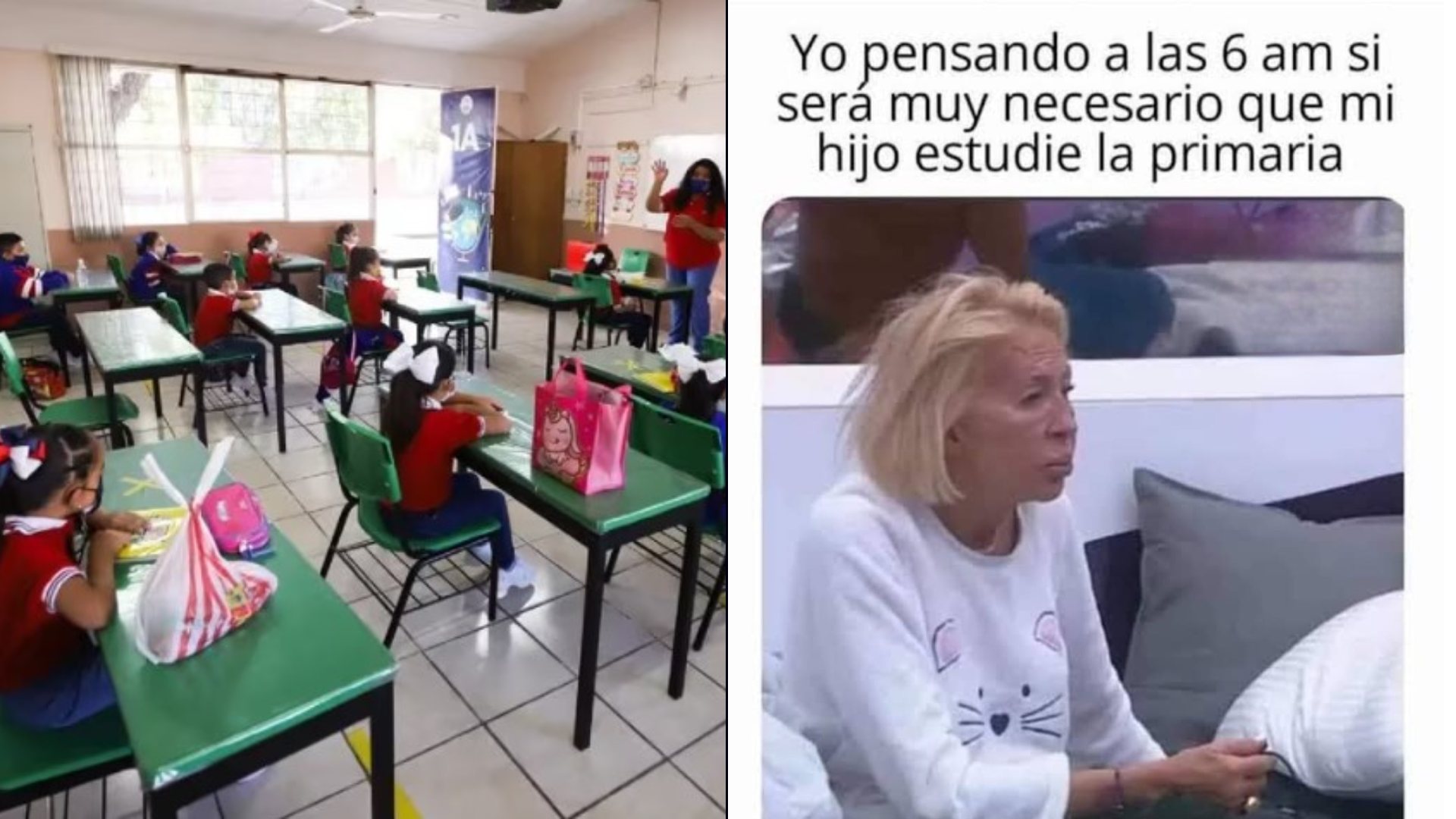 Memes Del Clima Escolar