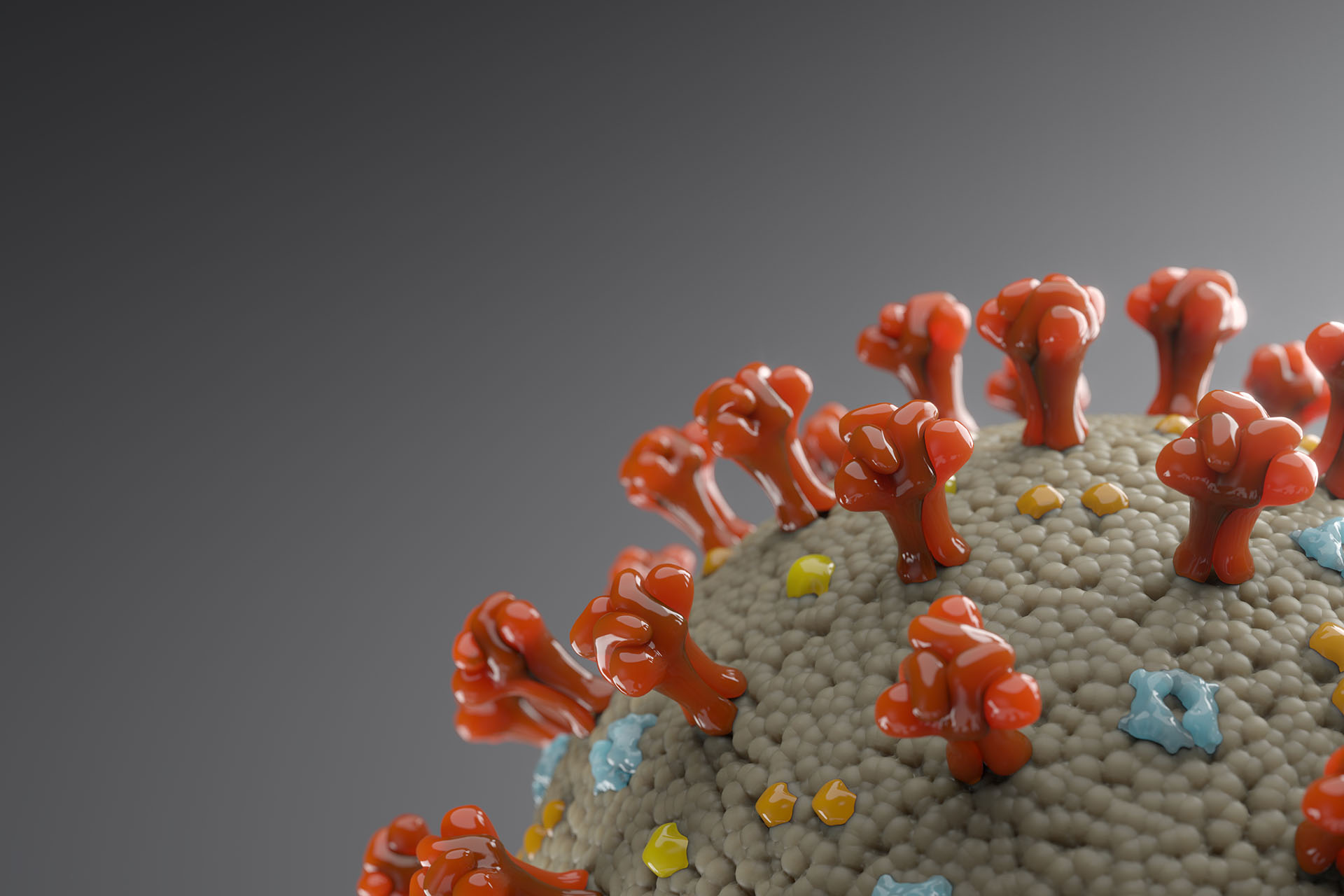 De Qué Se Trata El Norovirus El Virus Del Vómito Que Preocupa Por Su