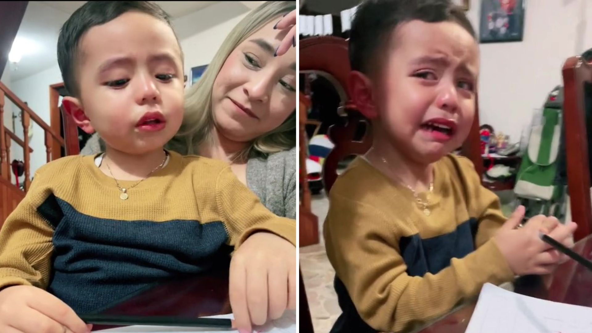 “me Tiene Muy Harto Todo” Tiene 4 Años Y Está Cansado De La Tarea Del Colegio Infobae 