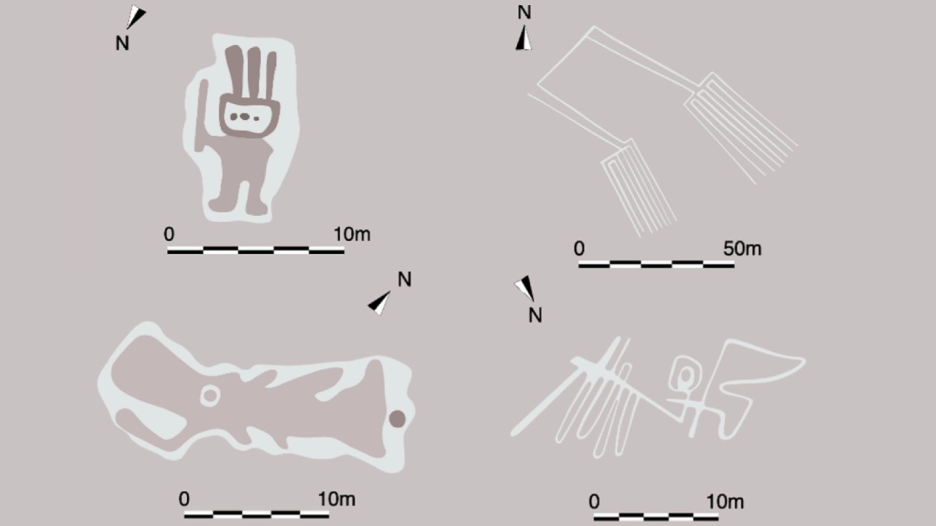 Lineas De Nazca Infobae