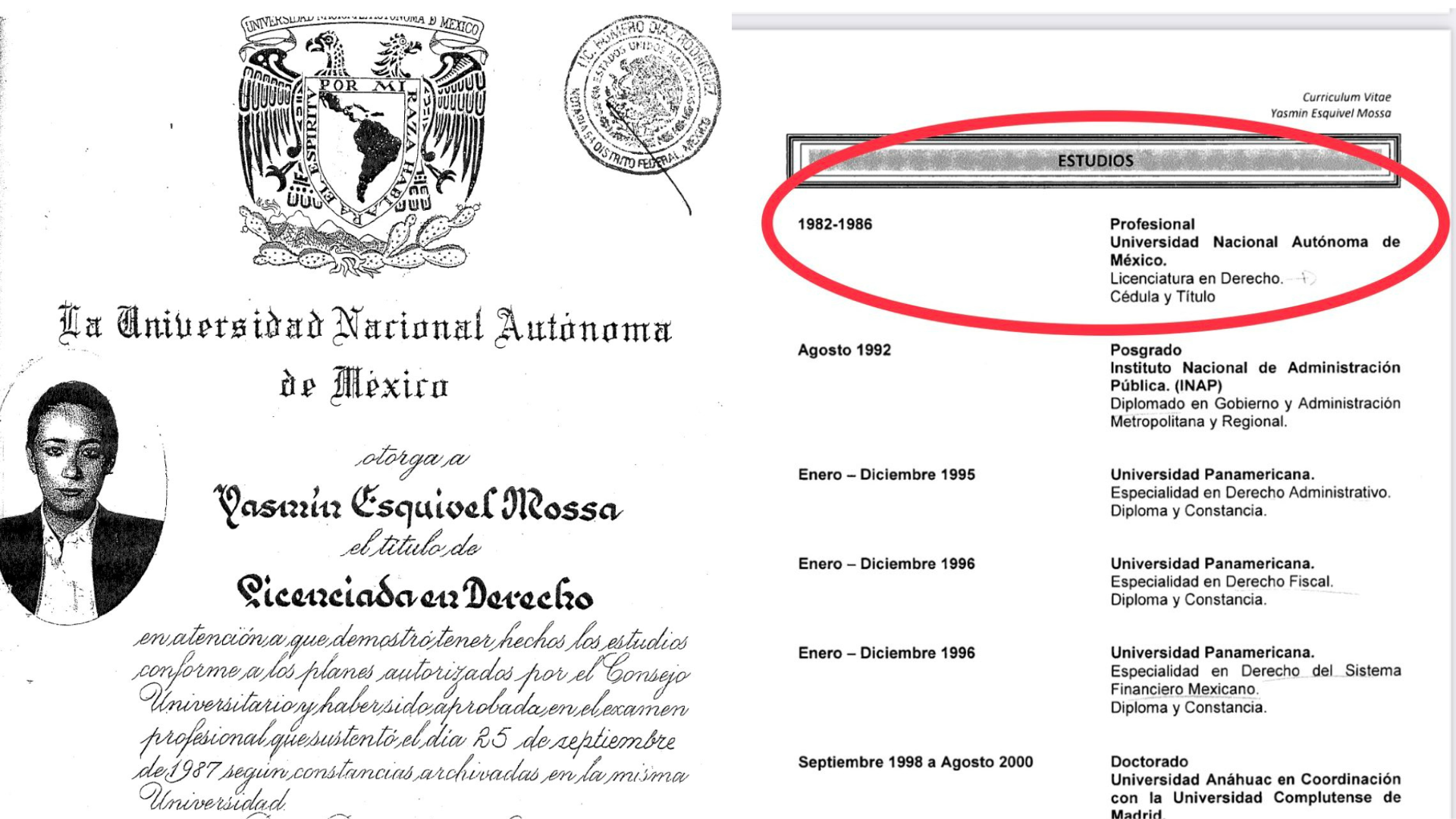 Las Otras “suspicacias” Que Despertó El Currículum De Yasmín Esquivel