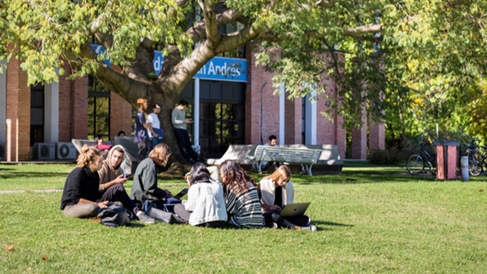 Ticmas Y La Universidad De San Andrés Lanzan Una Novedosa Propuesta De Formación Profesional 