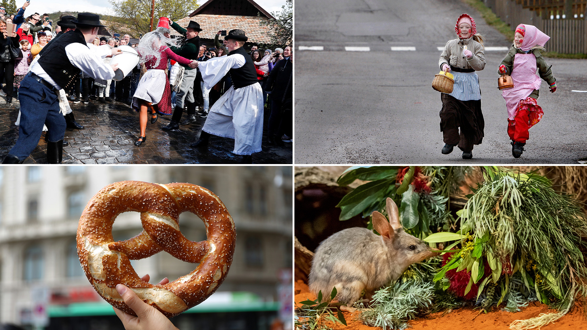 Tradiciones Culturales En Todo El Mundo