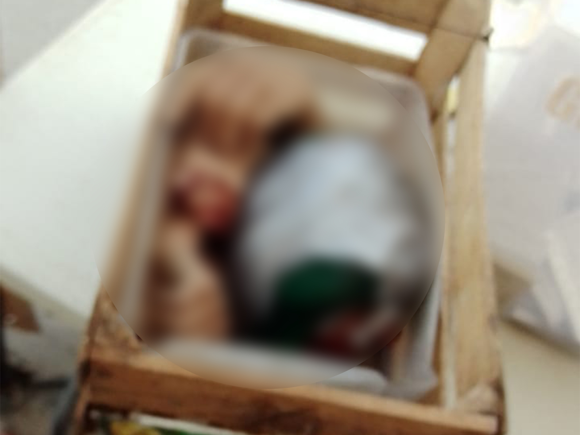 Terror En Tijuana Arrojaron Dos Cabezas Humanas En Casillas Para Votar Infobae