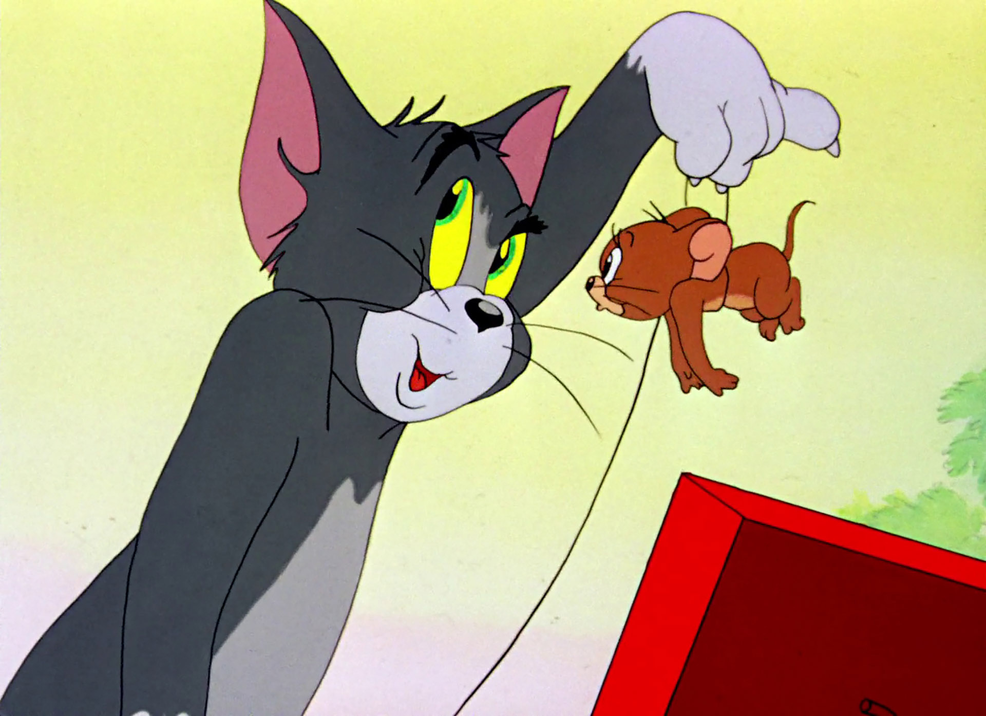 Fondos De Pantalla De Dibujos Animados De Tom Y Jerry Tom Y Jerry: