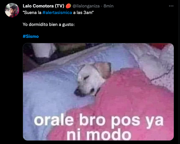 Los Mejores Memes Que Dejo La Alerta Sísmica Que Despertó A La Cdmx Infobae