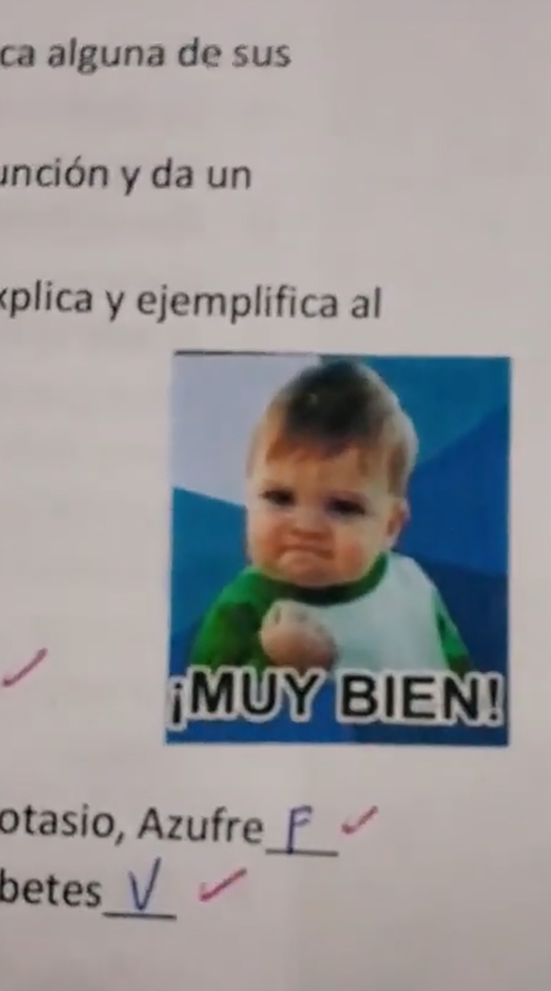 Es Maestra Corrigió Las Pruebas Con Memes Y Se Hizo Viral “soy La
