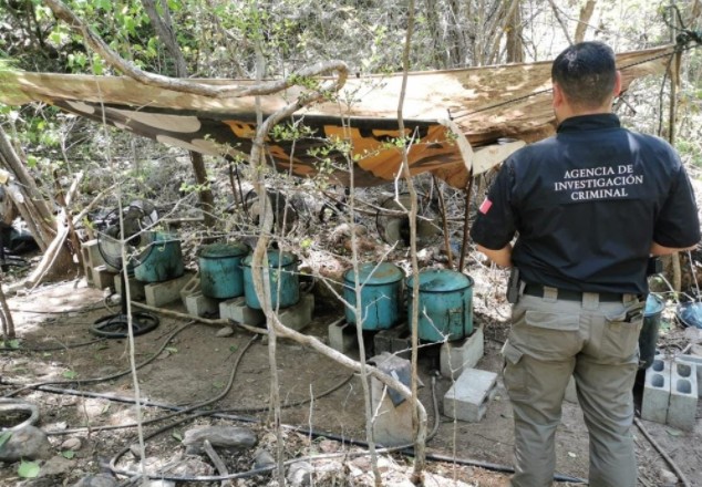 Fgr Aseguró En Julio Más De Una Tonelada De Metanfetamina Y Otras