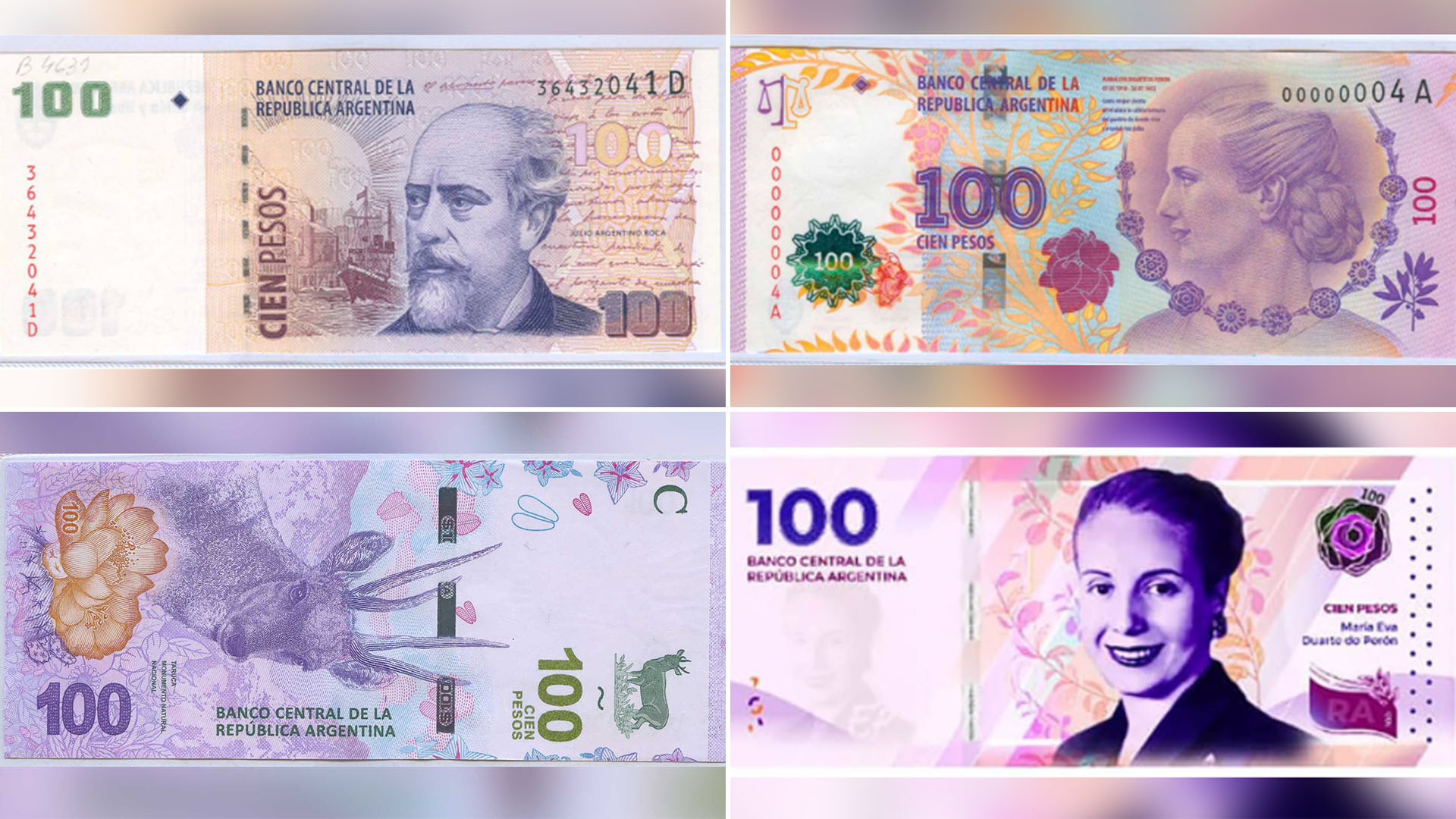 En Respuesta A La Imperio Inca Contaminar Nuevo Billete De 100 Pesos