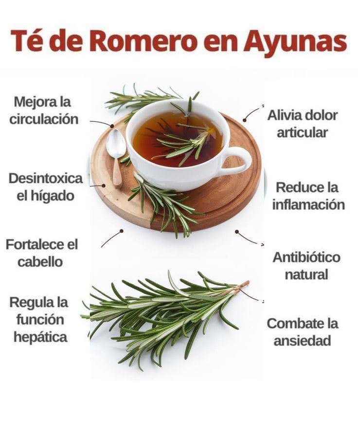 El Romero Y Sus Propiedades