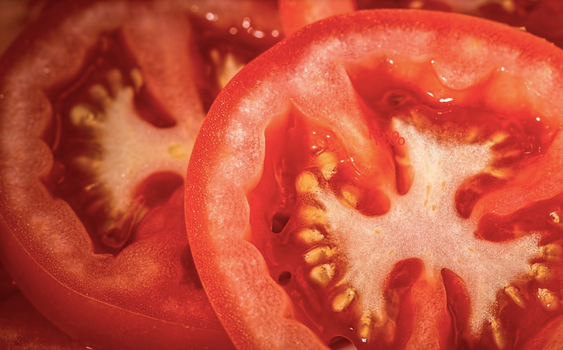 Cuáles Son Las Propiedades Medicinales “ocultas” Del Tomate Infobae
