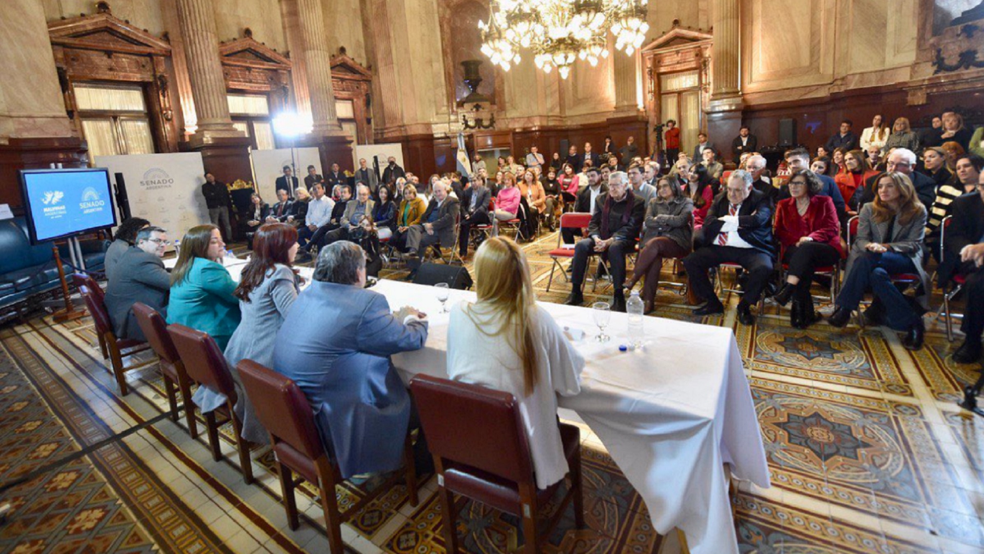 El Gesto De Cristina Kirchner Cuando Un Senador Oficialista La Arengó A