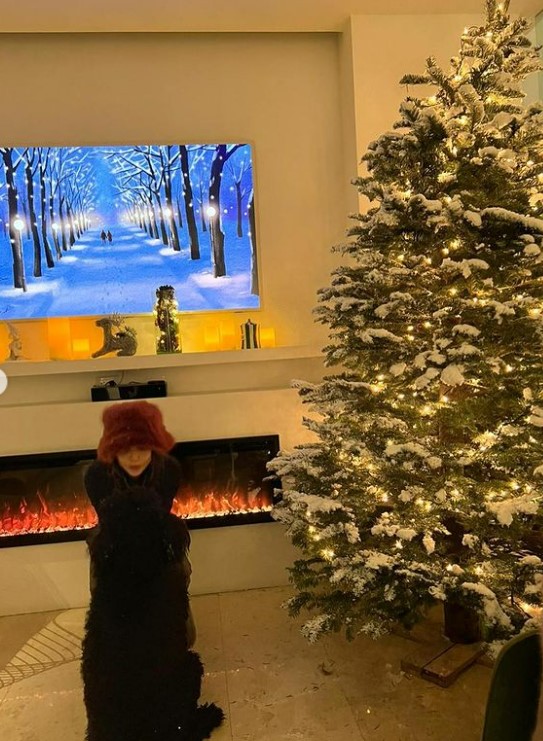Famosos Al Desnudo Del Emplumado árbol De Martha Debayle A Las Pijamas De Los Derbez Así Se 
