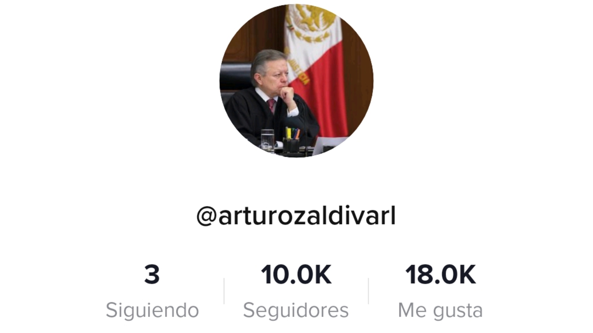 Arturo Zaldívar Presidente De La Suprema Corte Se Estrenó En Tik Tok