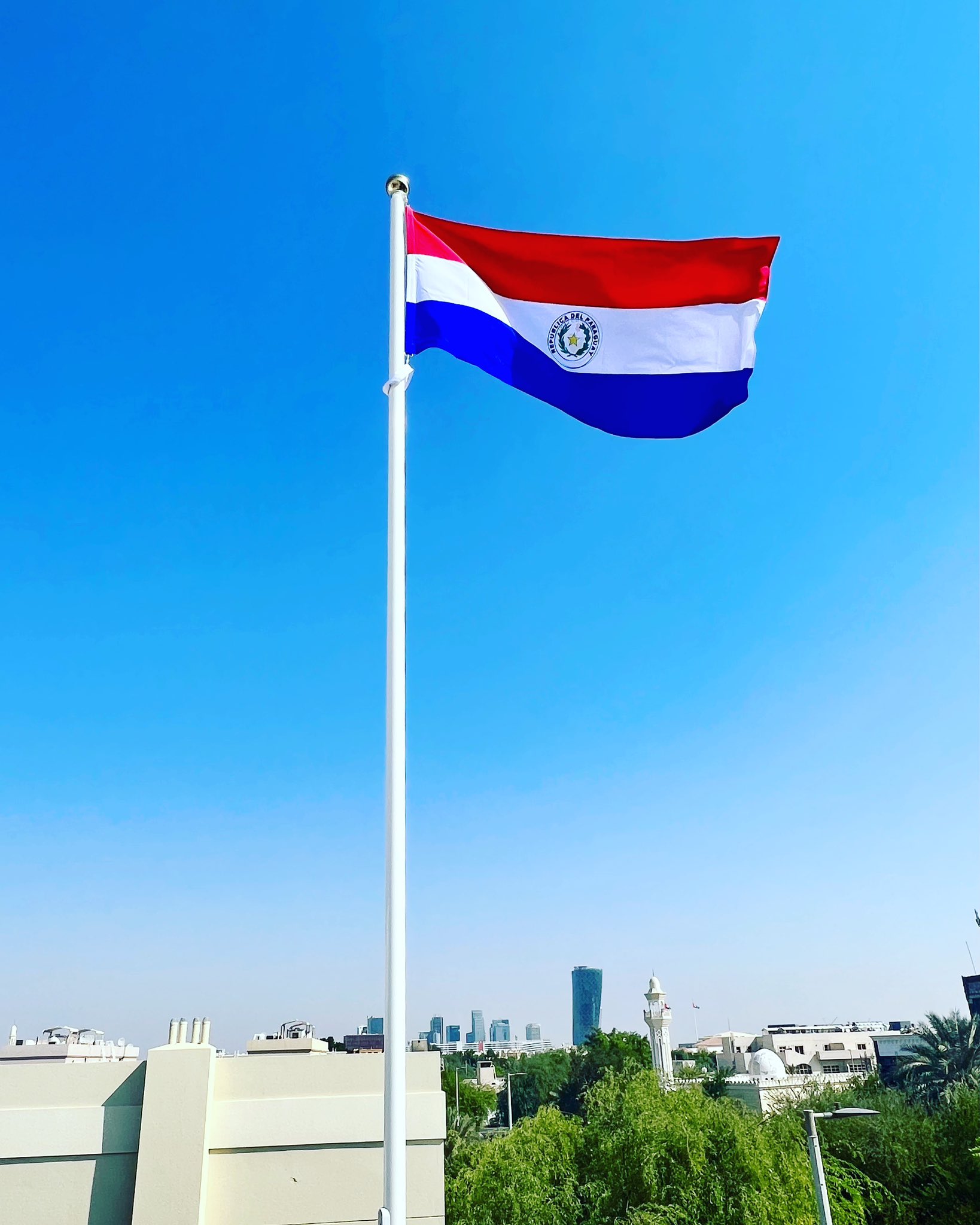 Bandera Paraguaya