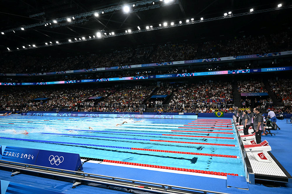 Olympic Size Swimming Pool Stadium