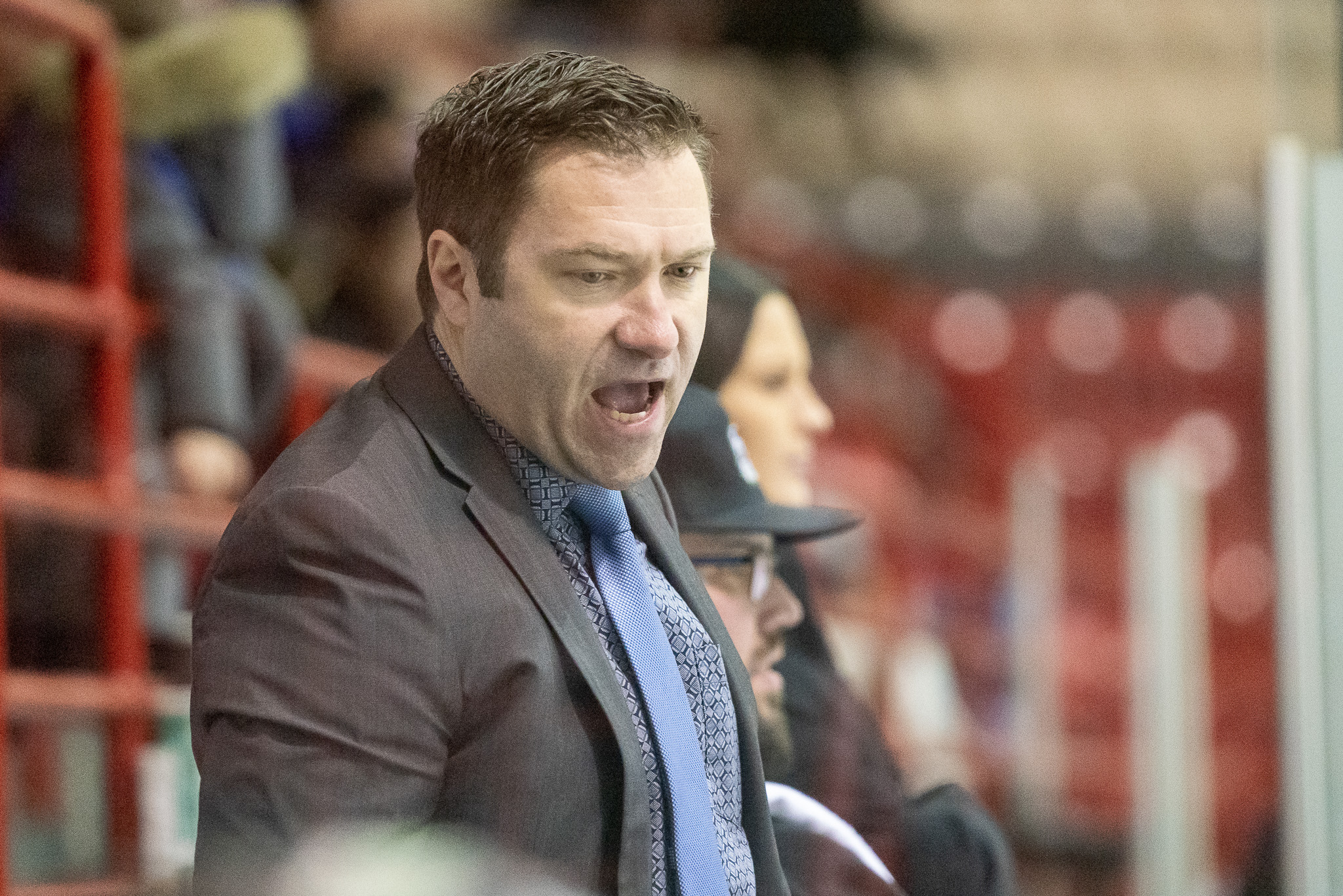 David Lapierre retrouve sa liberté