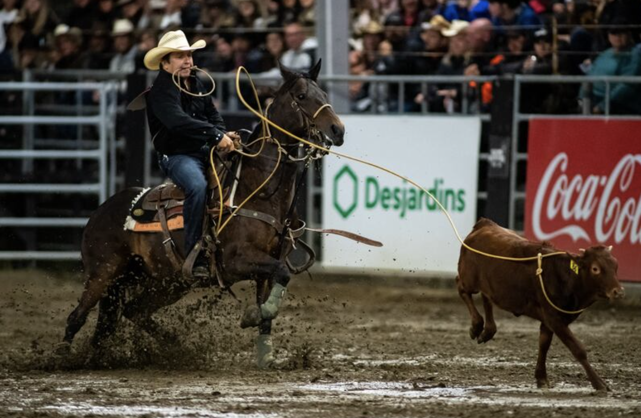 Rodéos au Festival western de Saint-Tite : Droit animalier Québec ...