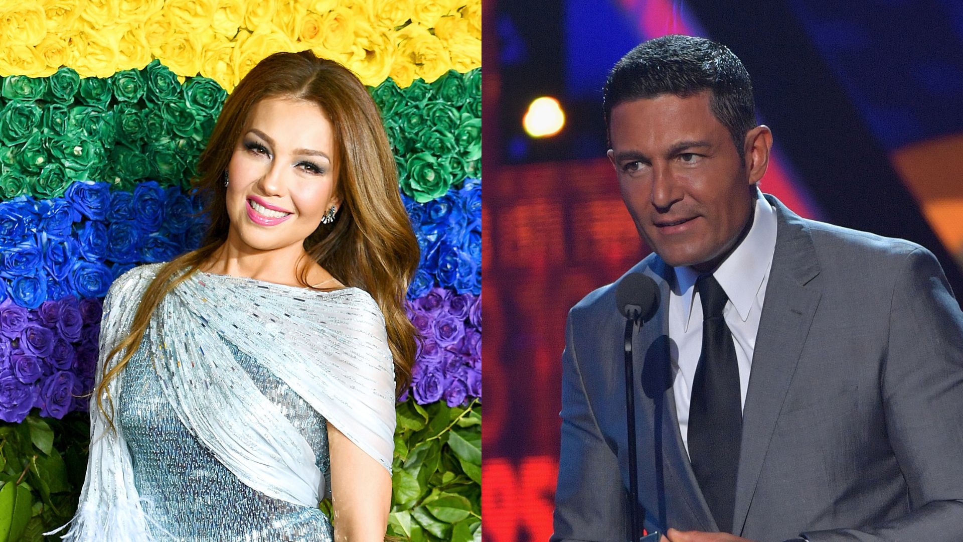 Fernando Colunga E Thalia Fueron Novios