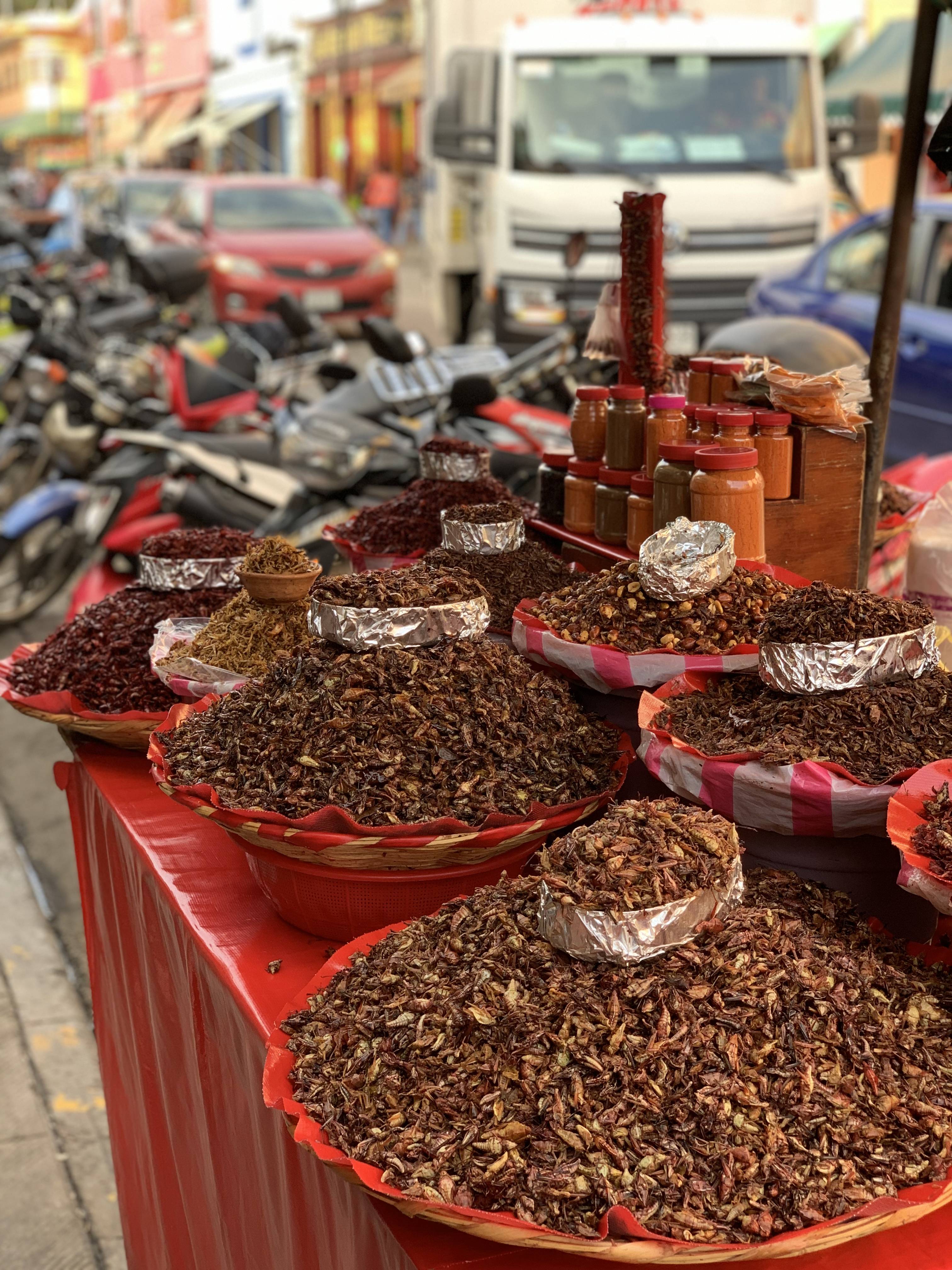 Comidas Exóticas Alrededor Del Mundo Las Comidas De Navidad Más
