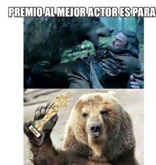 Memes Del Oso Del Renacido VRUTAL / Recopilación De Los Mejores Memes