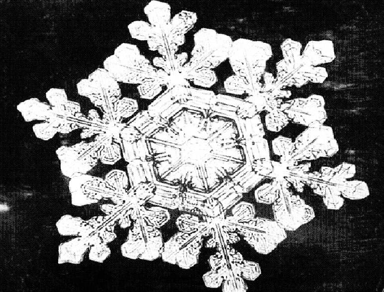 Fotos De Bentley Con Copos De Nieve La Magia De Los Copos De Nieve,