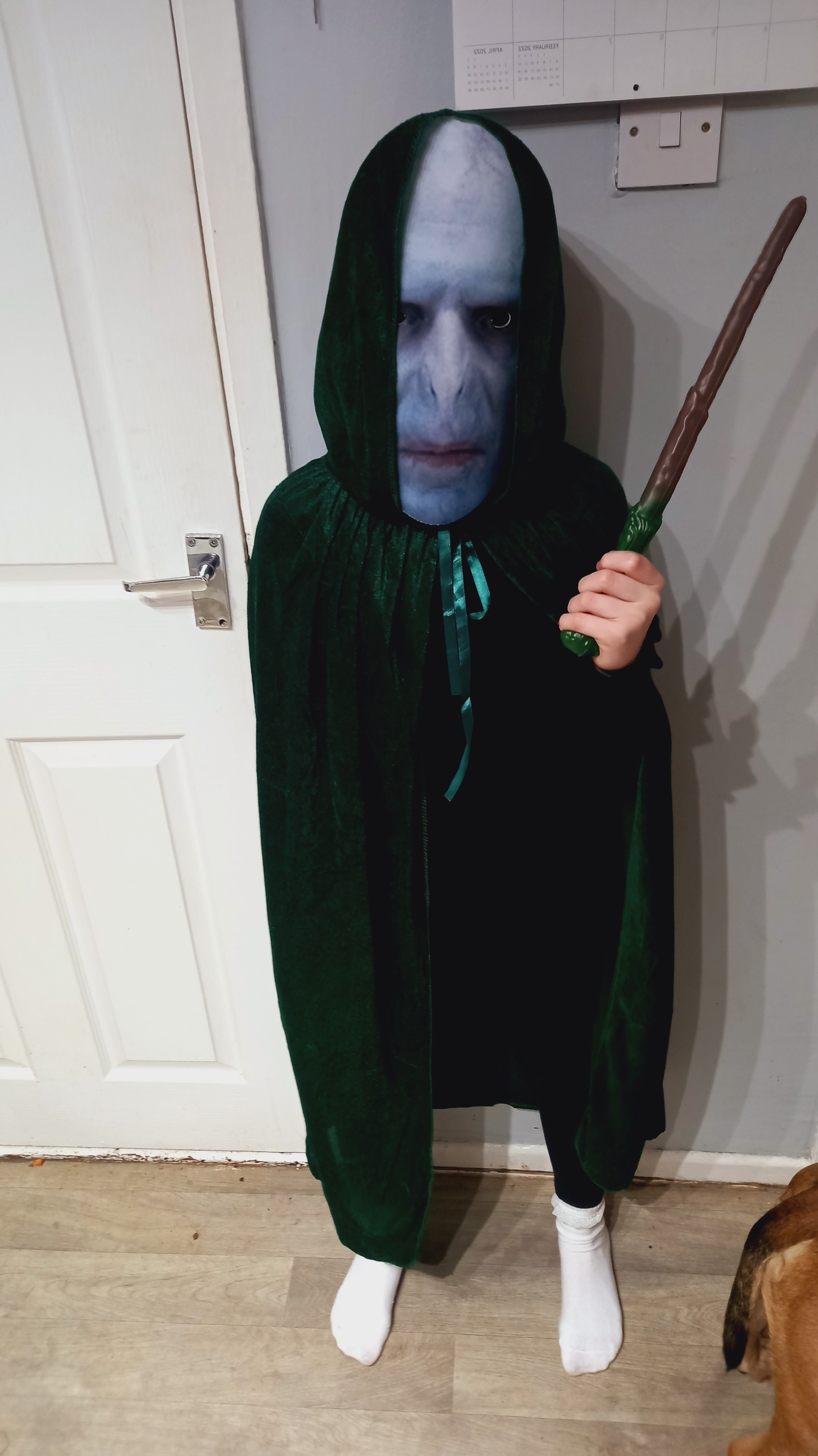 Homemade Voldemort Costume