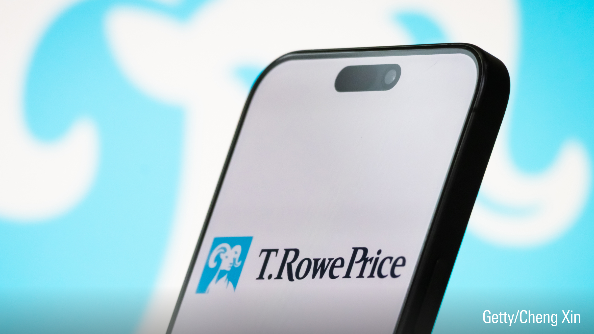 Why We Like T. Rowe Price Blue Chip Growth | Morningstar