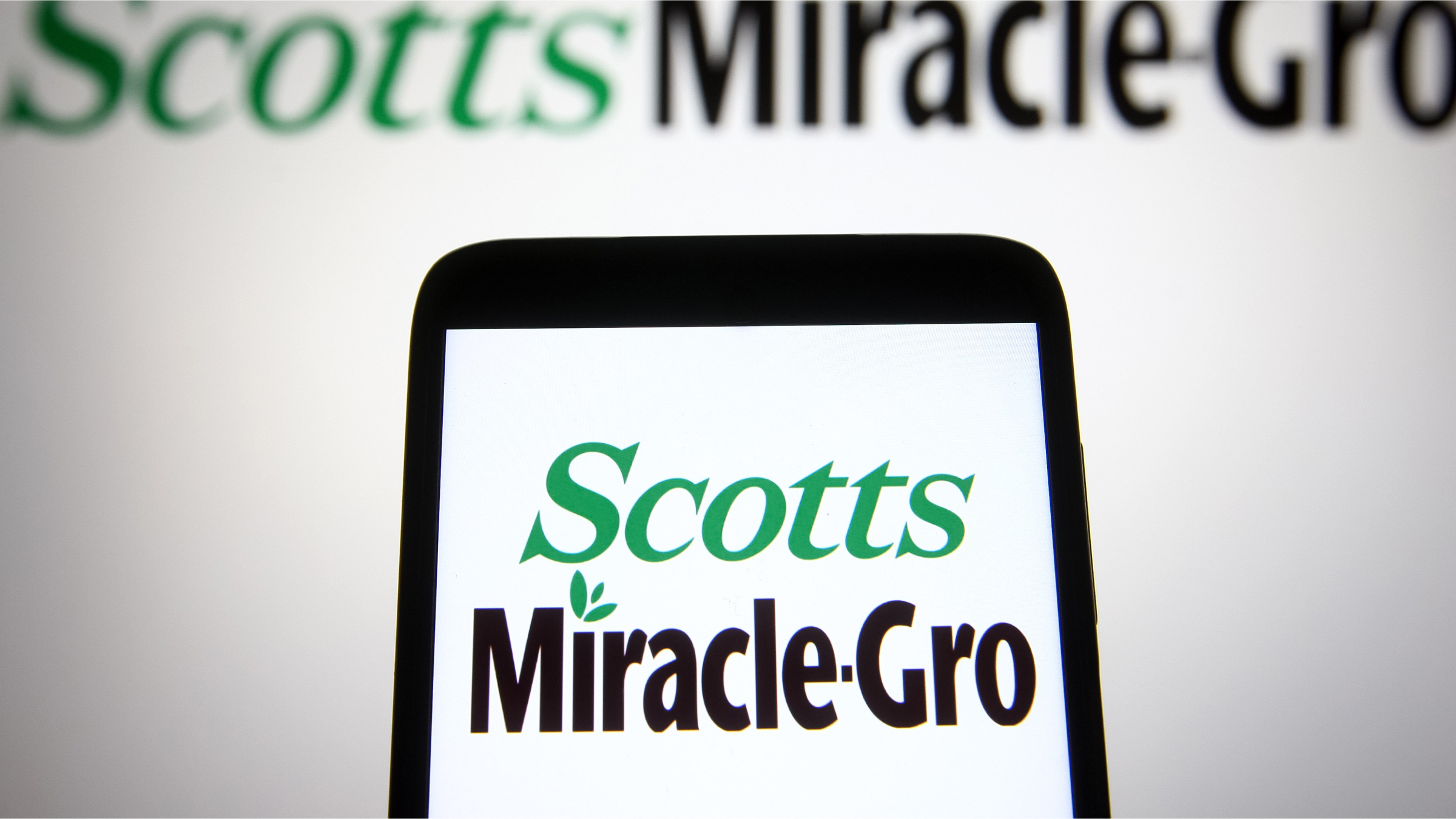 Scotts Miracle-Gro Earnings: Stock Tanks Despite Solid Results ...