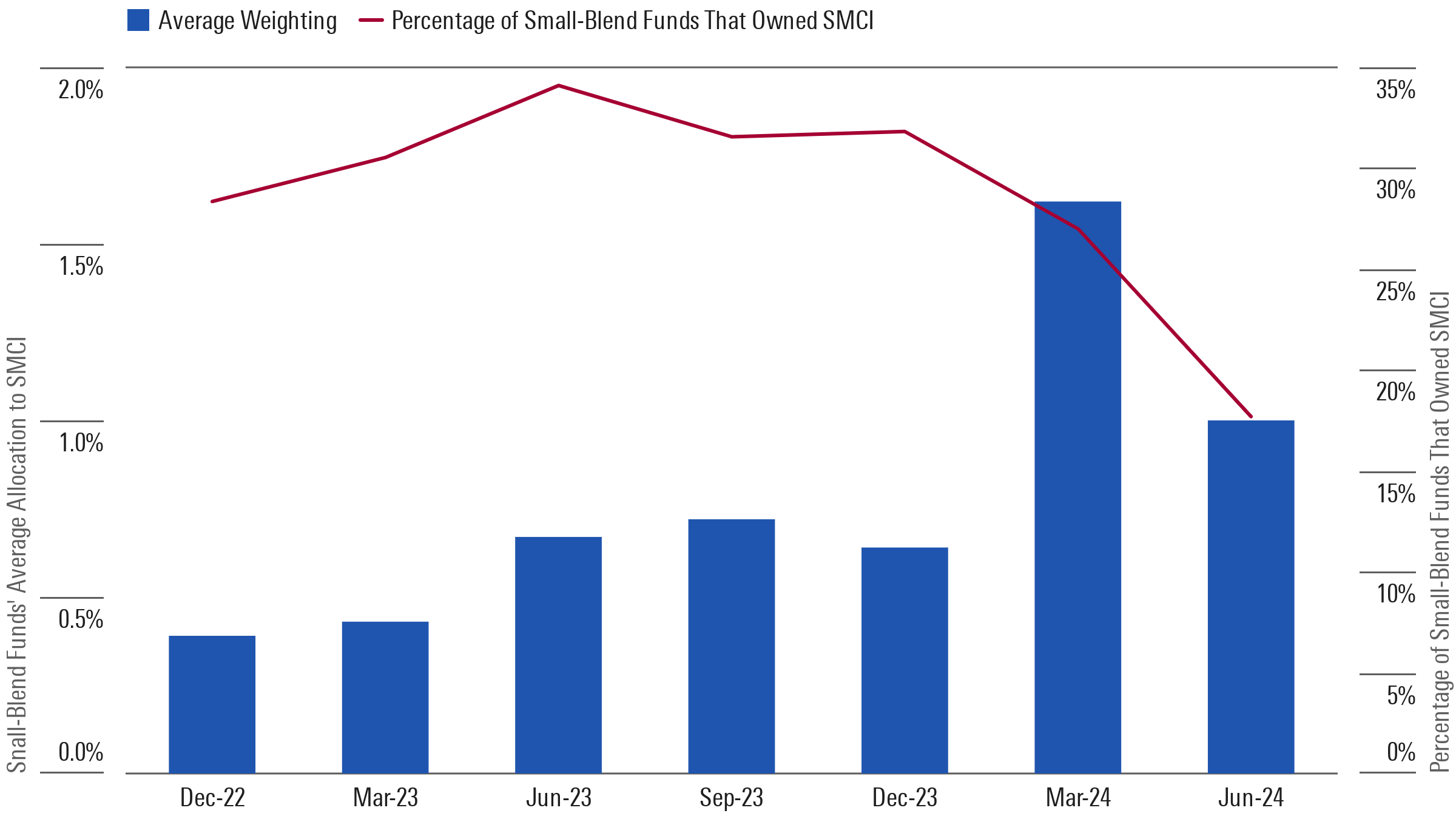 Small-Cap Managers' Big Dilemma With Super Micro Computer | Morningstar