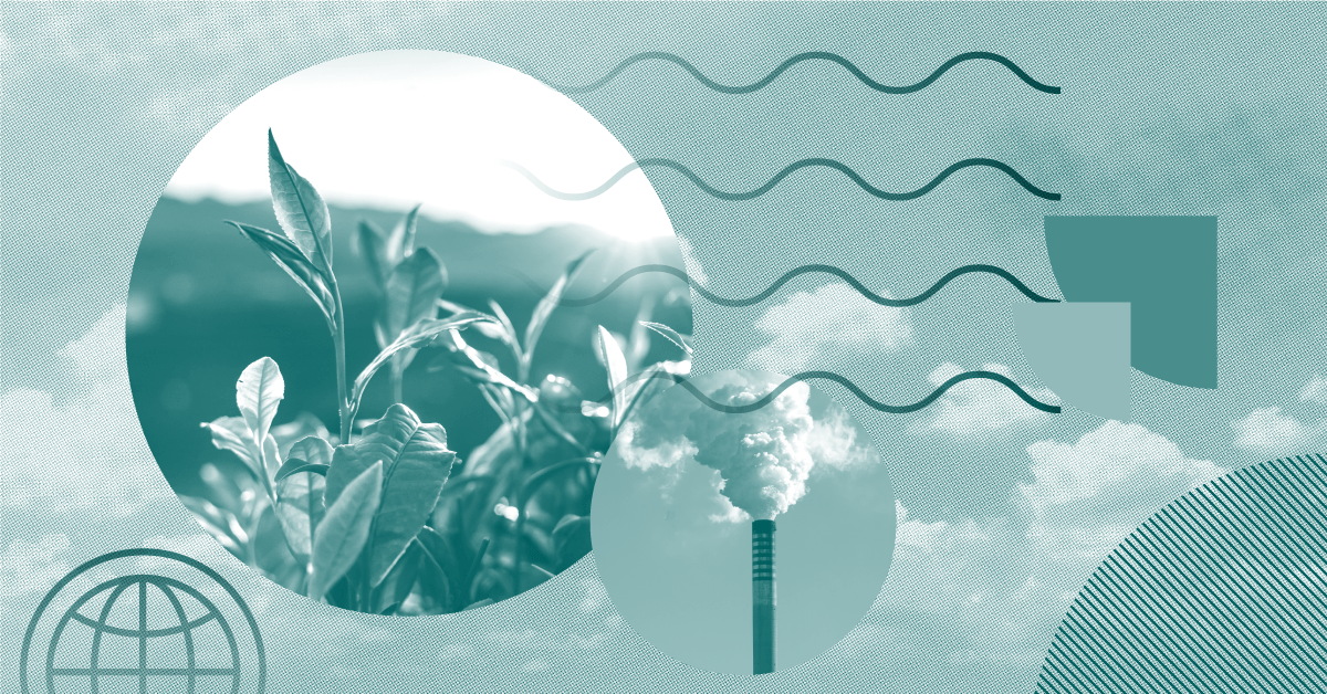What to know about carbon-capture technologies