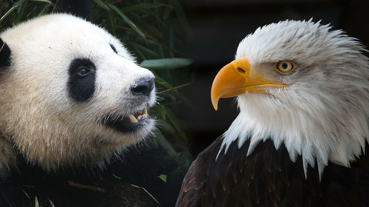 Investors optimistic as US, China trade talks continue