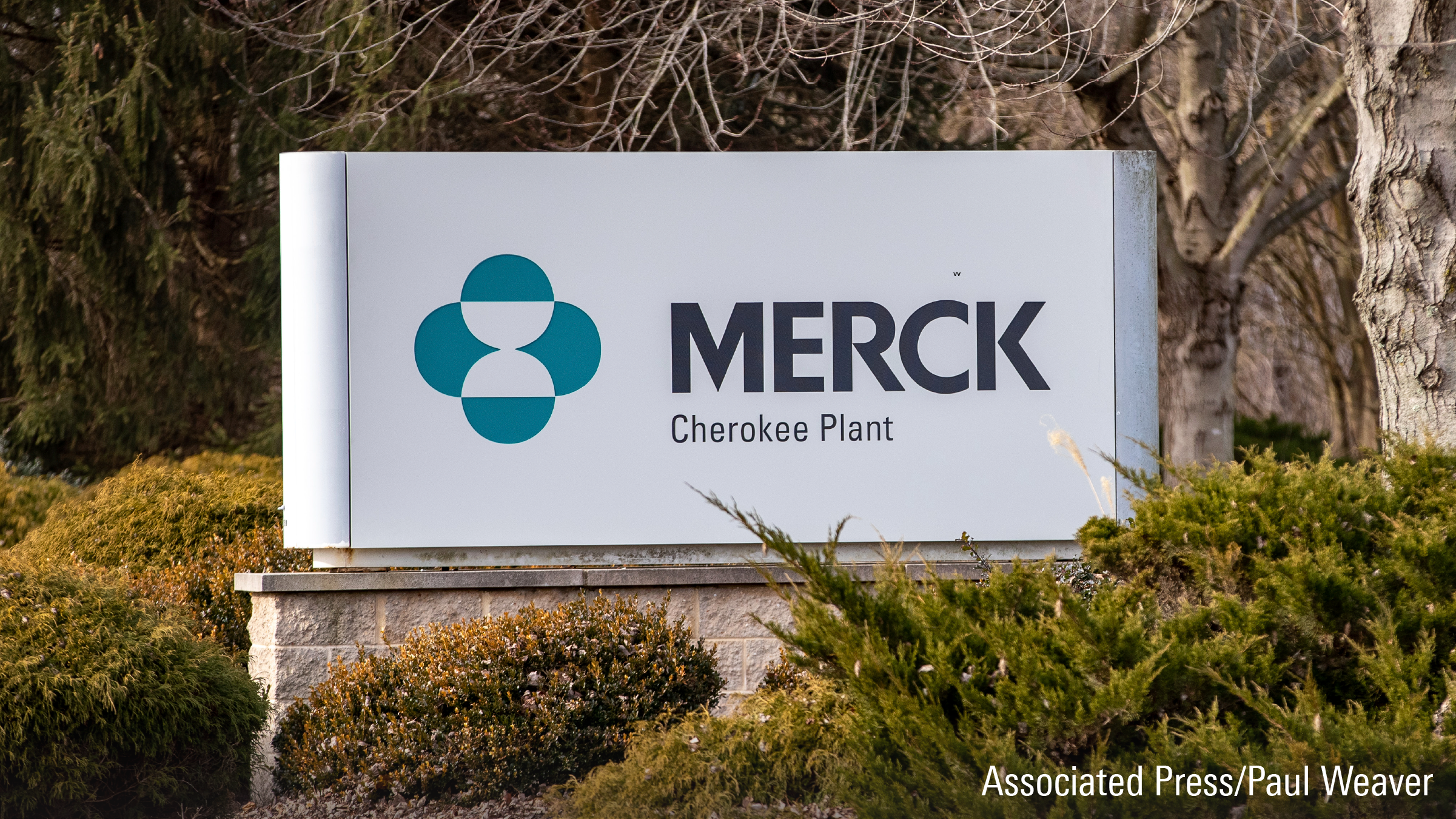 Merck Earnings: Gardasil Weighs on 2025 Growth, but Firm Still ...