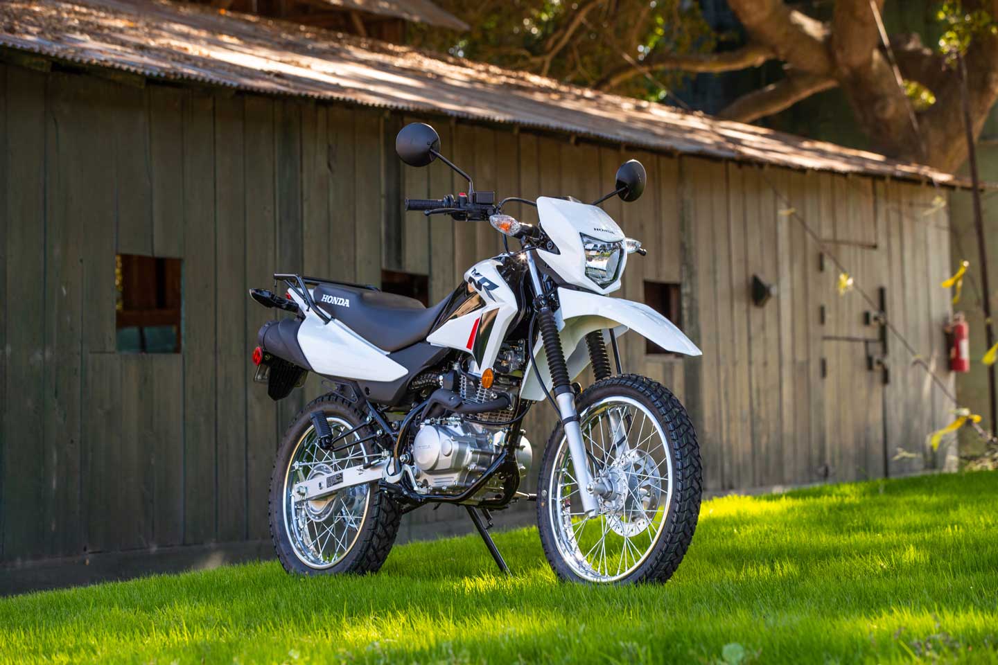 Honda Xr 1000 Dirt Bike