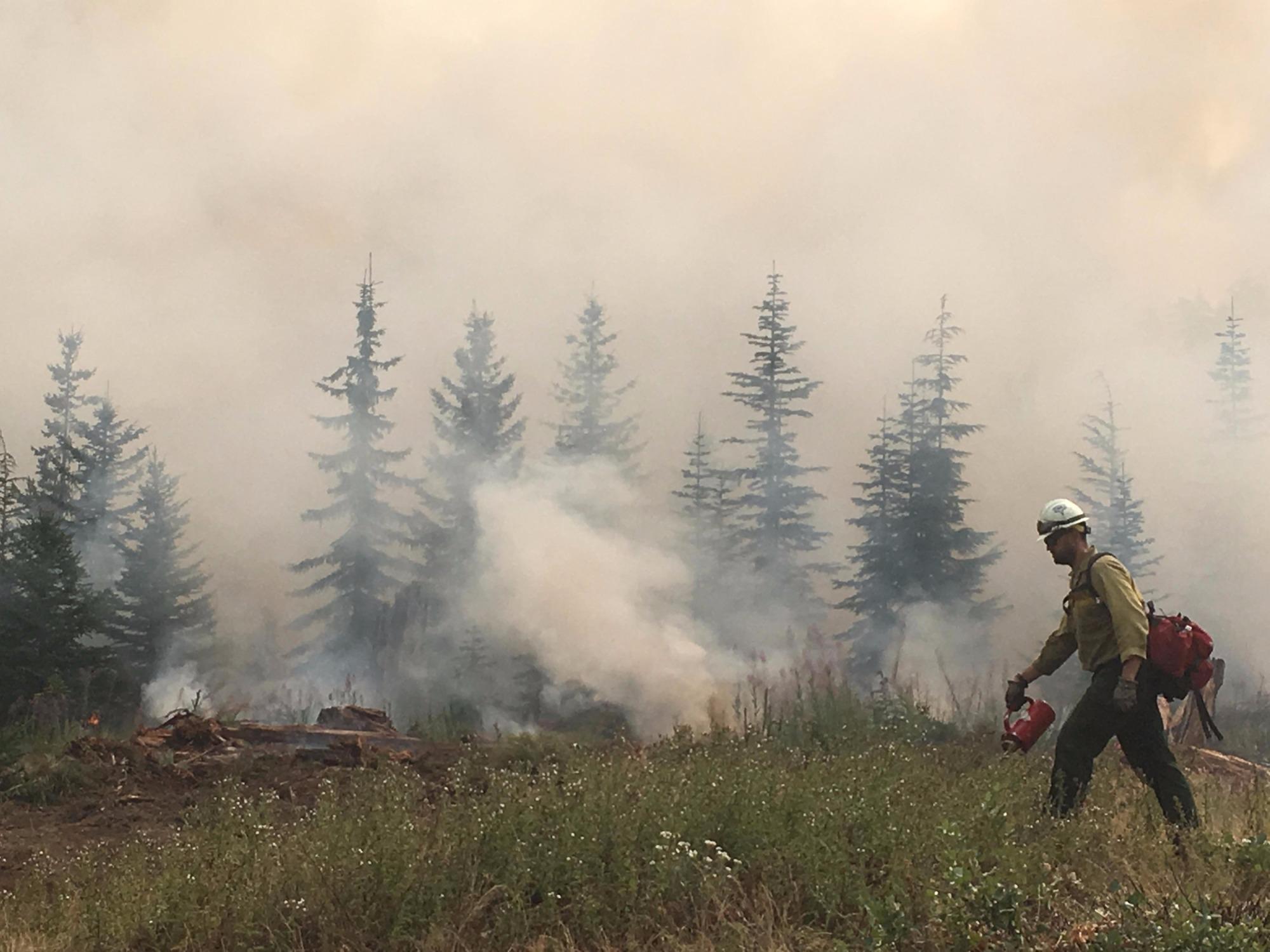 Wildfire Smoke In Western Oregon Expected To Ease Tuesday - OPB