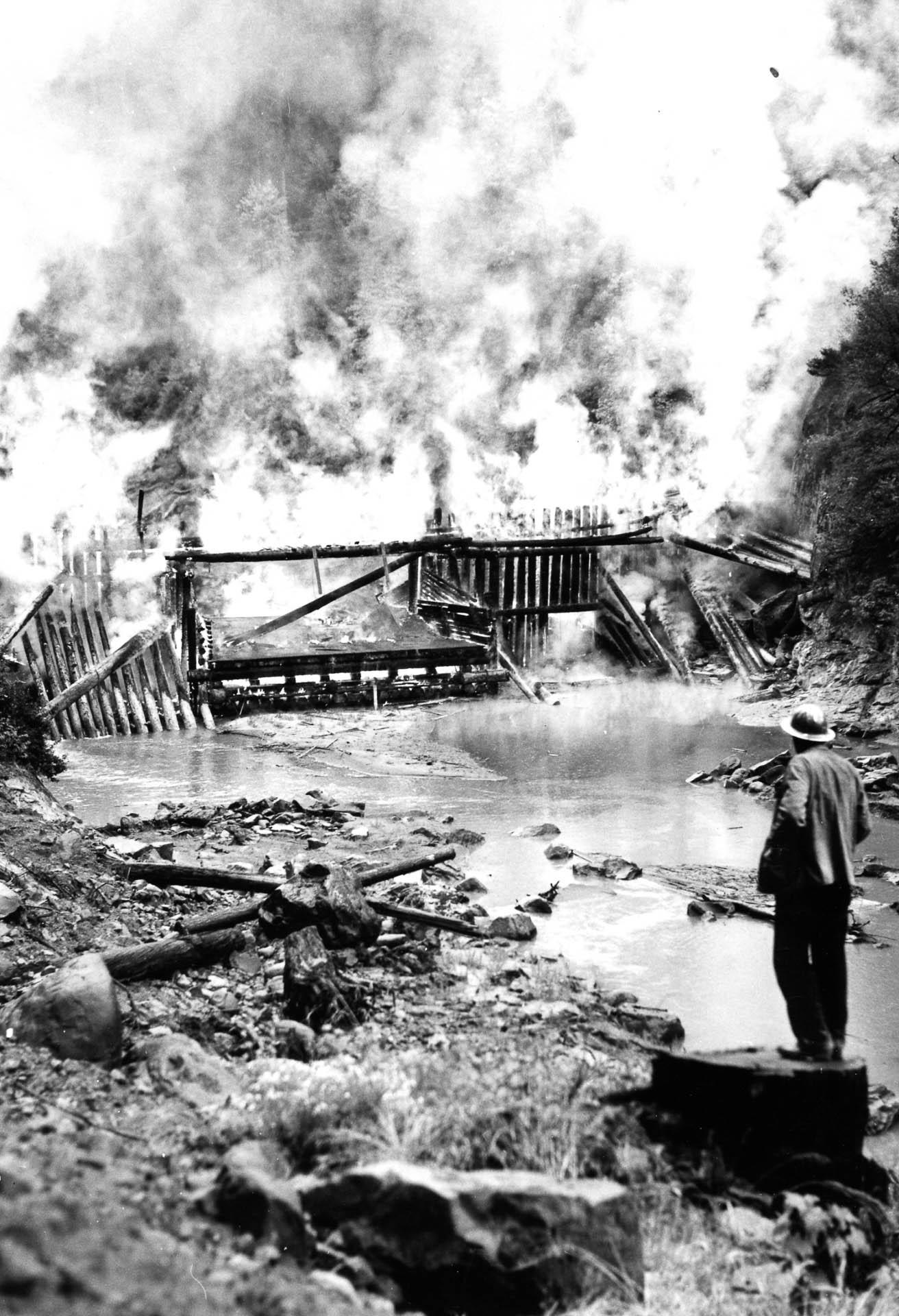 How Oregon Rivers Carried Millions Of Trees - OPB