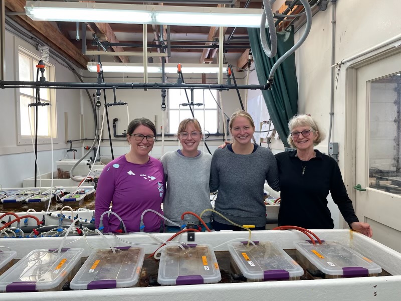 2025: The year of the starfish (and the Pacific Northwest scientists ...