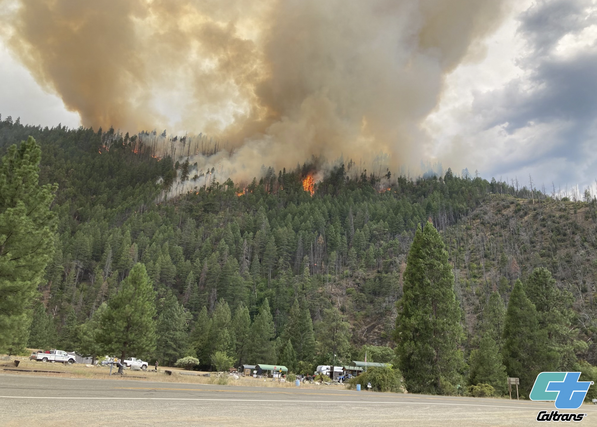 Forest Fire