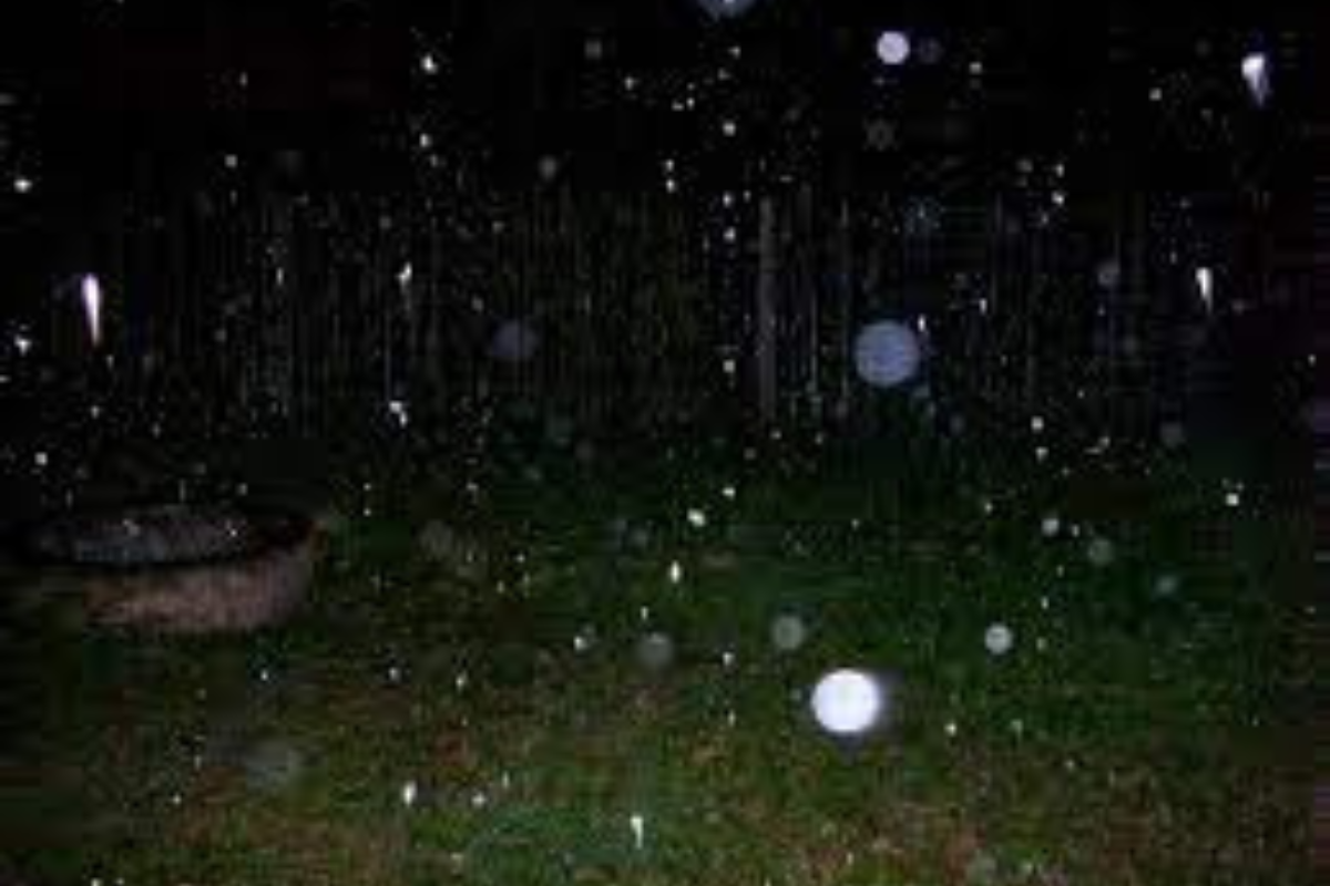 Orbes Espirituales Y Su Significado