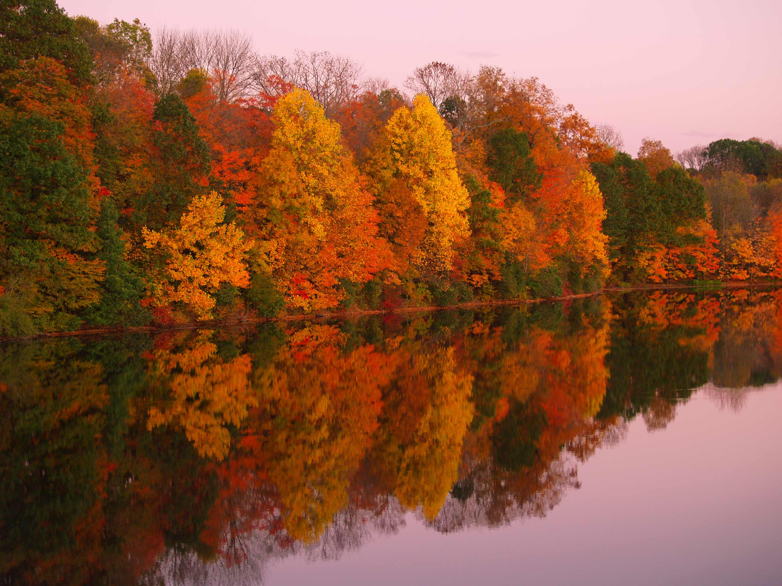 Pennsylvania Fall Foliage Map 2013 When Is The Best Time For Fall