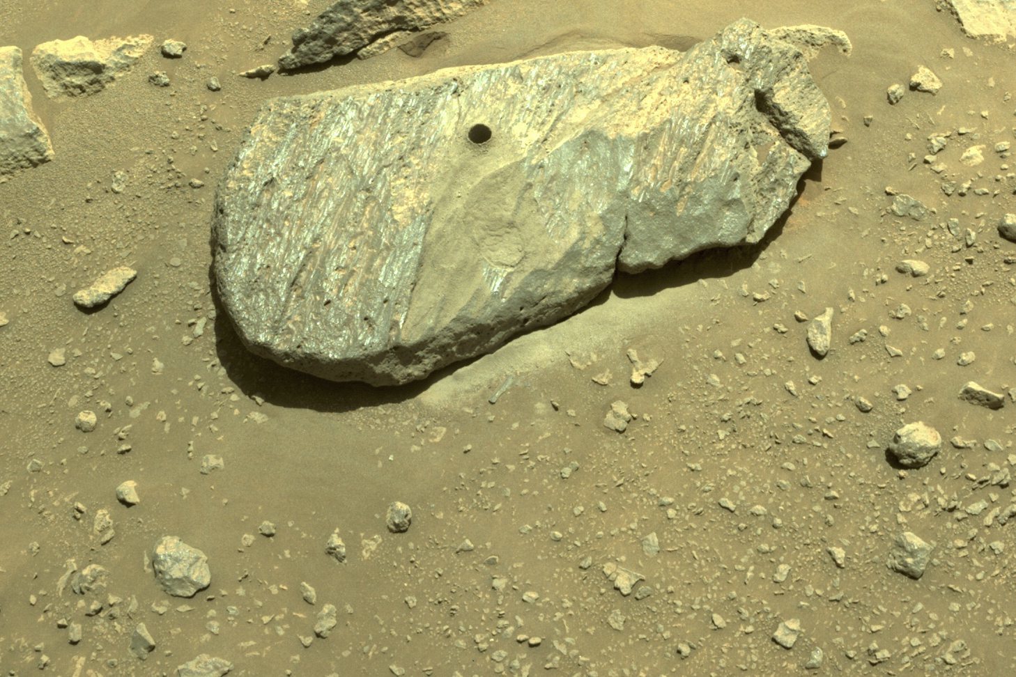 Mars Rover Soil Samples