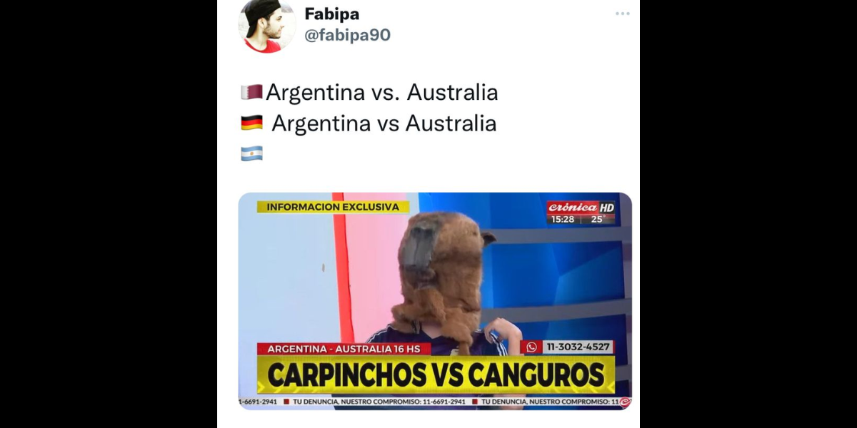 Memes Con Canguros CANGUROS BEBÉ