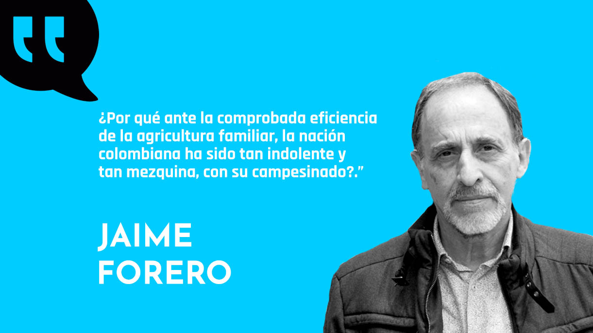 La falsa creencia de la inutilidad de la adjudicación de tierras a los ...