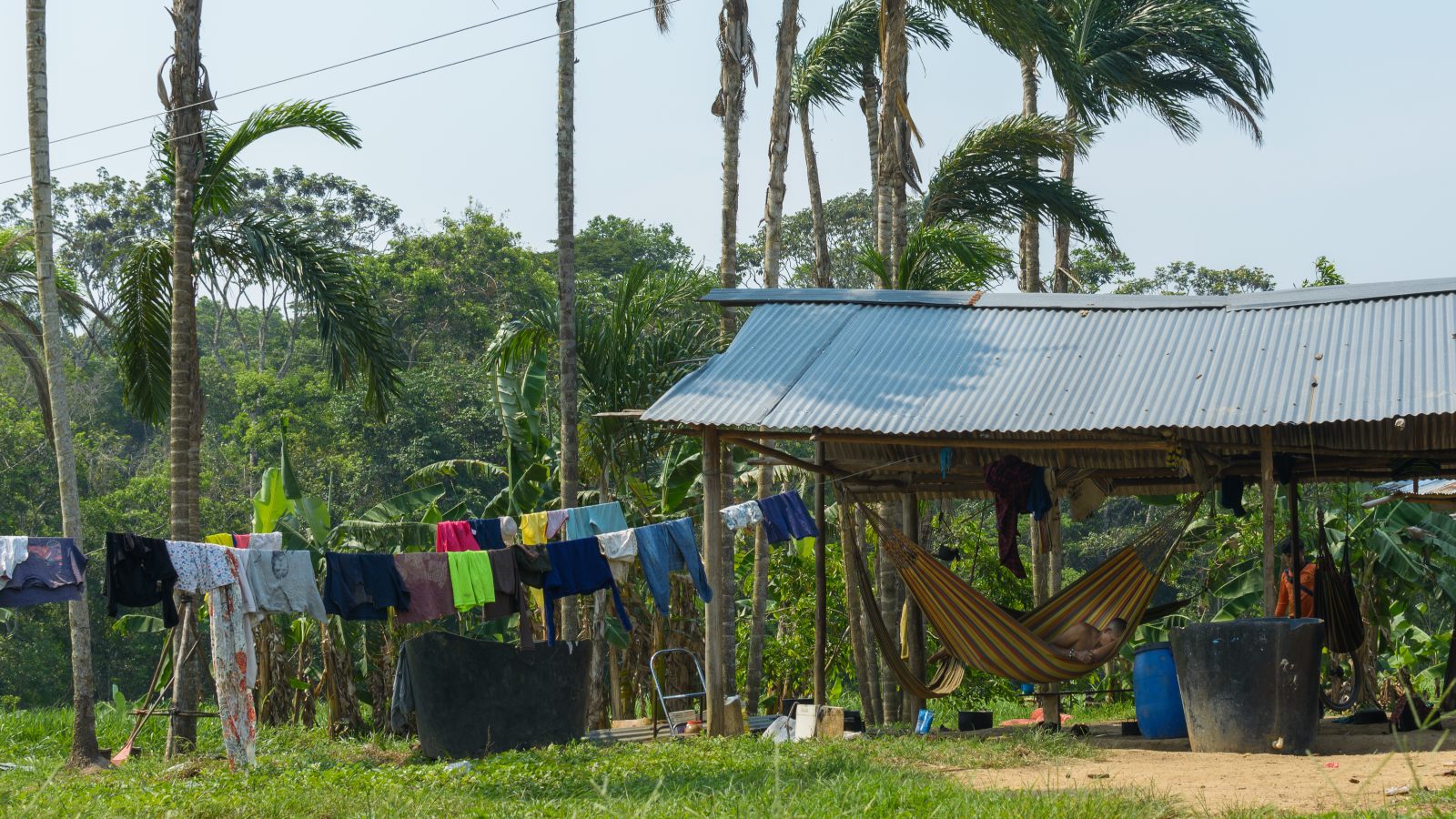 Los nukak, un pueblo que agoniza - Semana