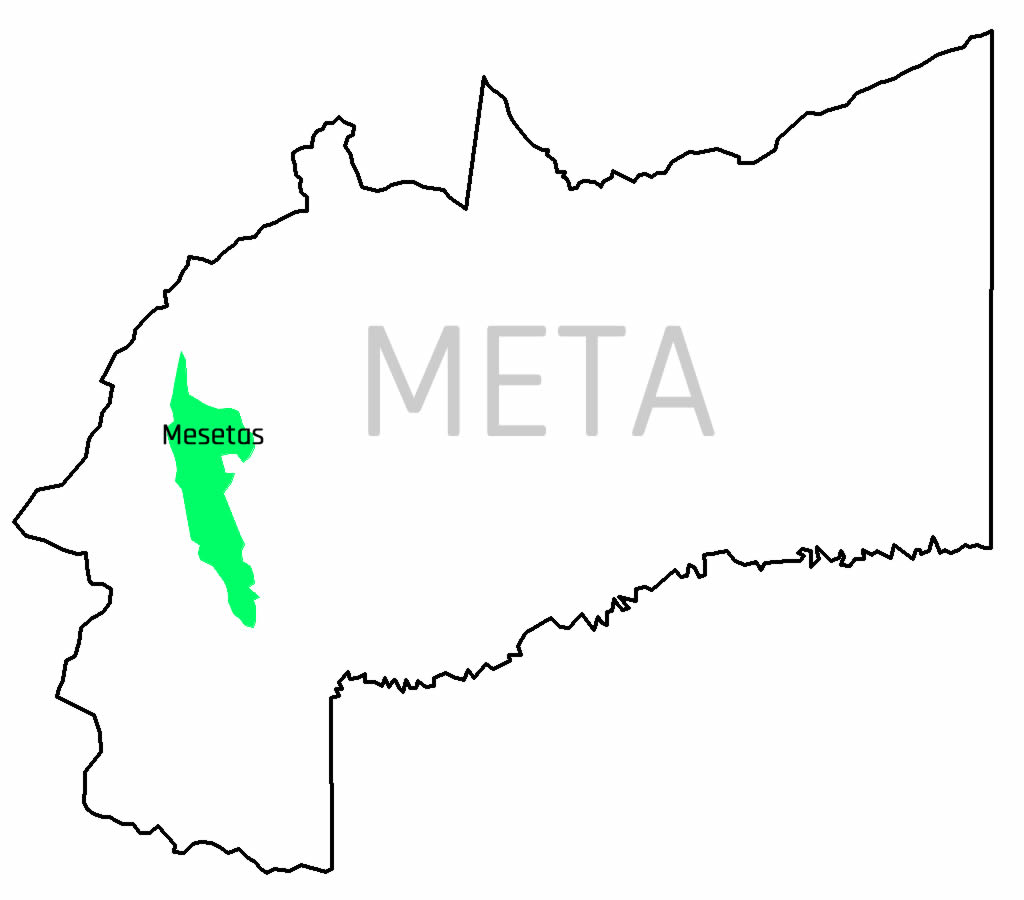 La seguridad en una de las zonas más complejas del Meta - Semana