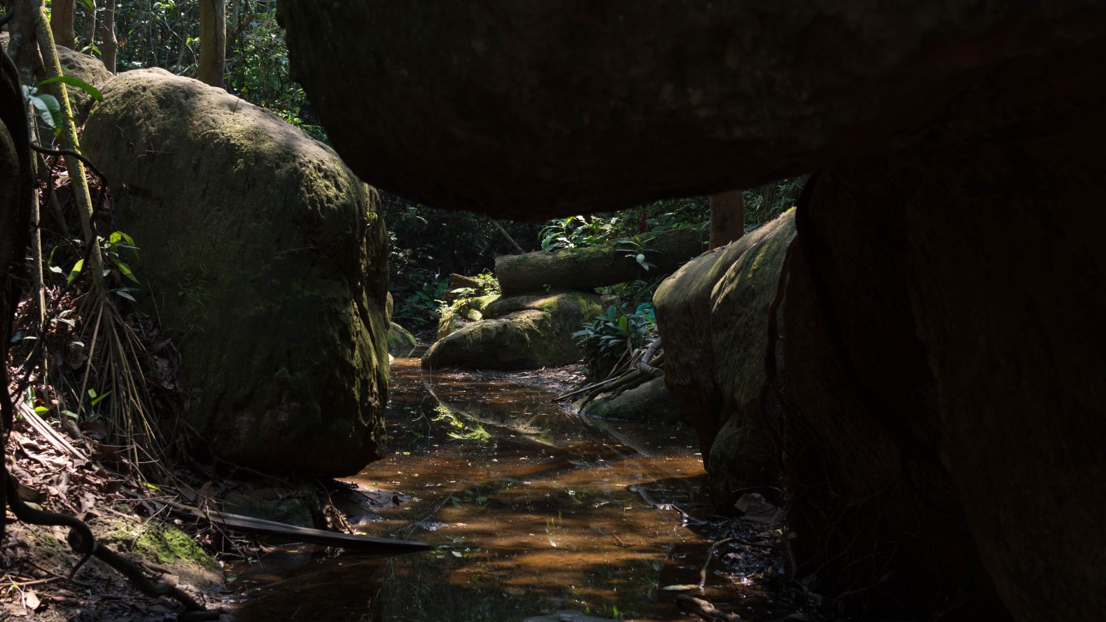 Los nukak, un pueblo que agoniza - Semana