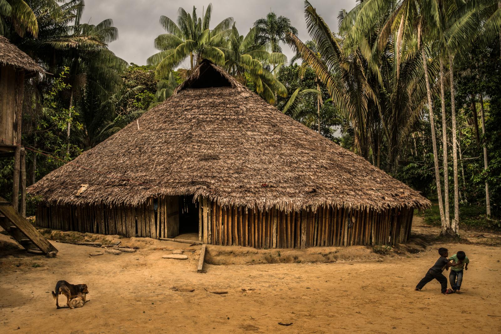Maloca de conocimiento del bosque, el sueño del último chamán matapí ...