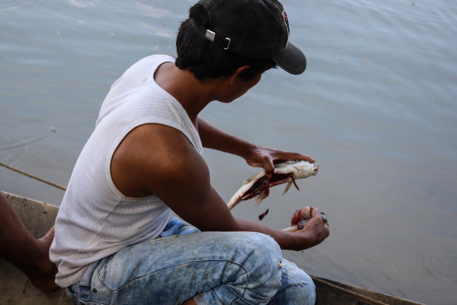 Una mañana buscando delfines en el río Ariari - Semana